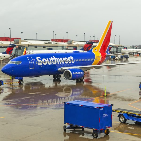 Scores of FAA Employees Fired as SpaceX Plans Facility Visit ...